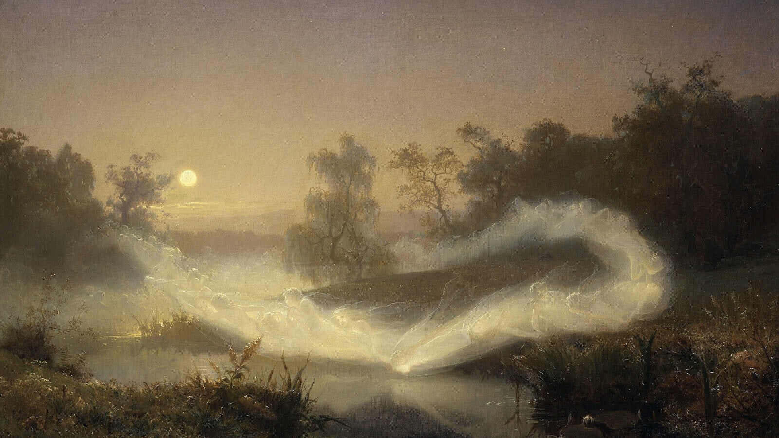 difference between elves and hobbits